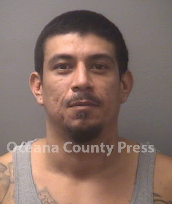 Gun theft among recent arraignments, Jan. 29, 2018. | OceanaCountyPress.com