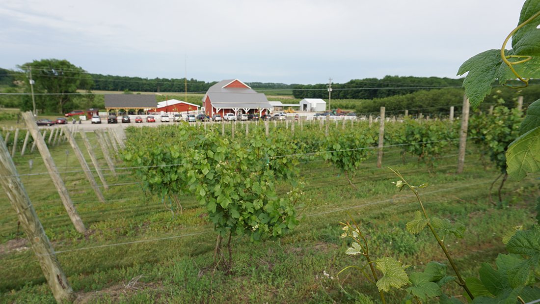 Century-old Fox Barn thrives as unique winery. | OceanaCountyPress.com