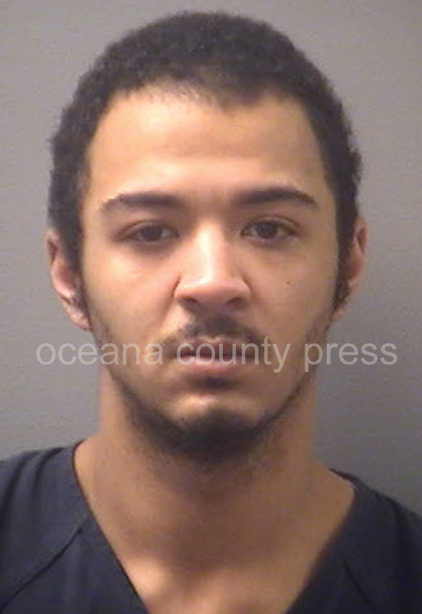 27th Circuit Court sentencings, posted Feb. 8, 2019 ...