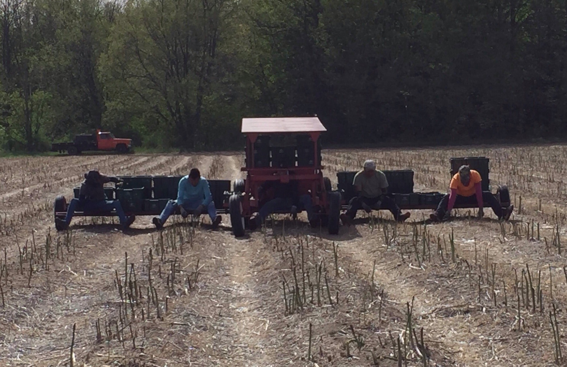 Thief or thieves steal from farm workers while they’re picking ...