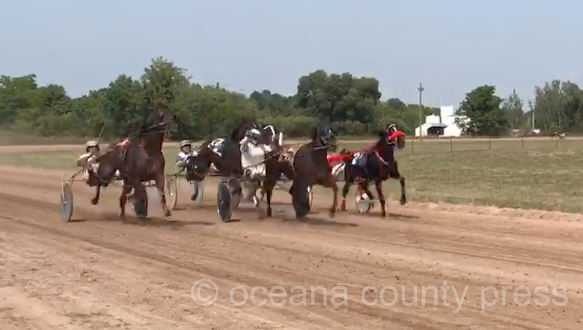 Around the County: Harness racing begins at Oceana County Fair ...