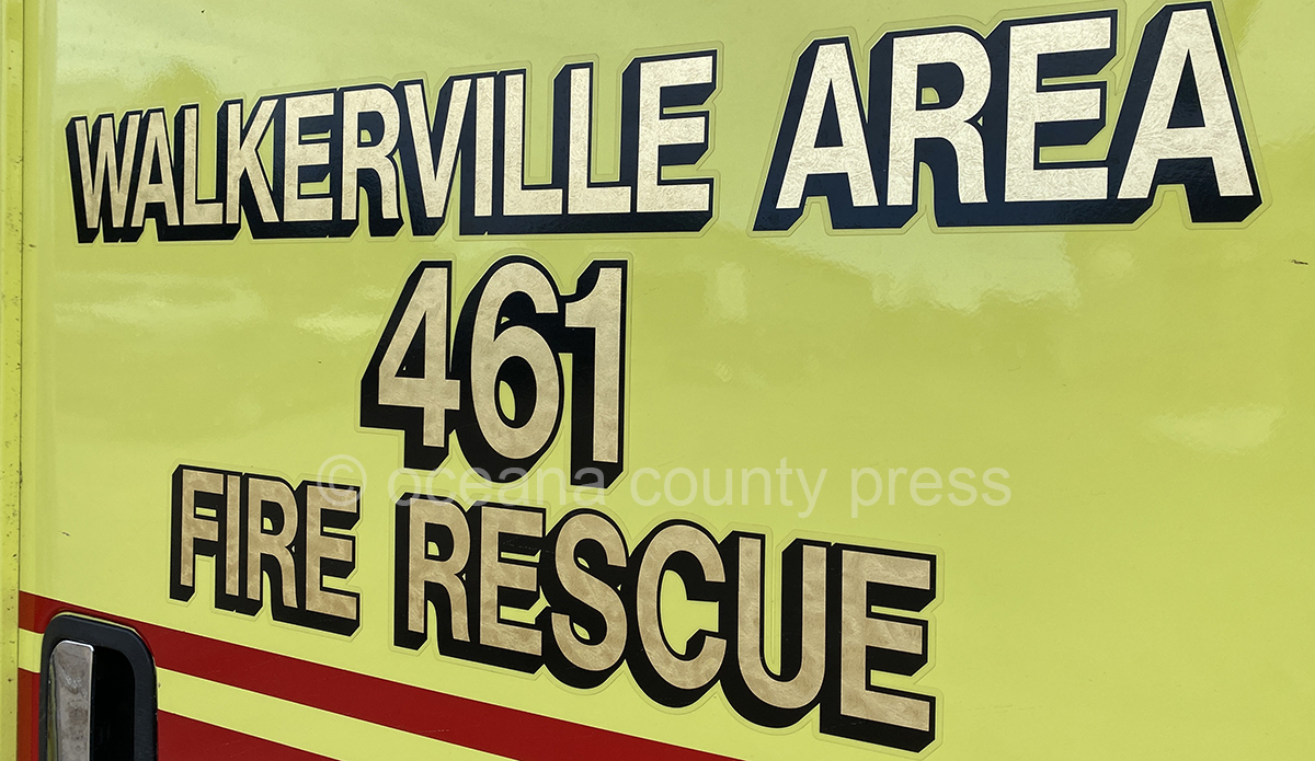 Farm animals die in barn fire | OceanaCountyPress.com