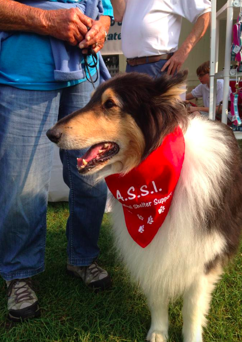 Strut Your Mutt set for July 29 | OceanaCountyPress.com