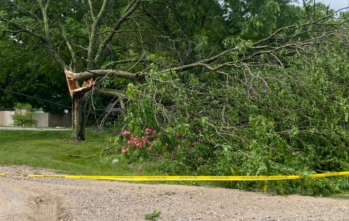 Winds knocking down power lines | OceanaCountyPress.com