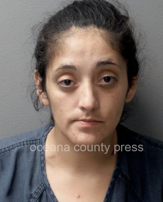 Woman sentenced to 5-10 years in prison for assault | OceanaCountyPress.com