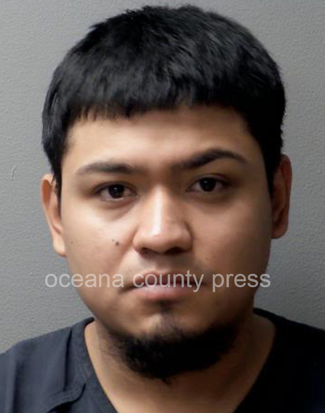 Robber sentenced to prison | OceanaCountyPress.com