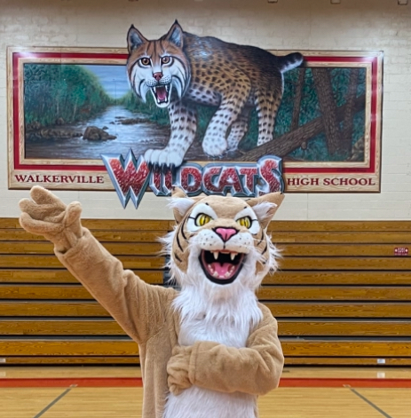 New mascot ignites Wildcat spirit | OceanaCountyPress.com